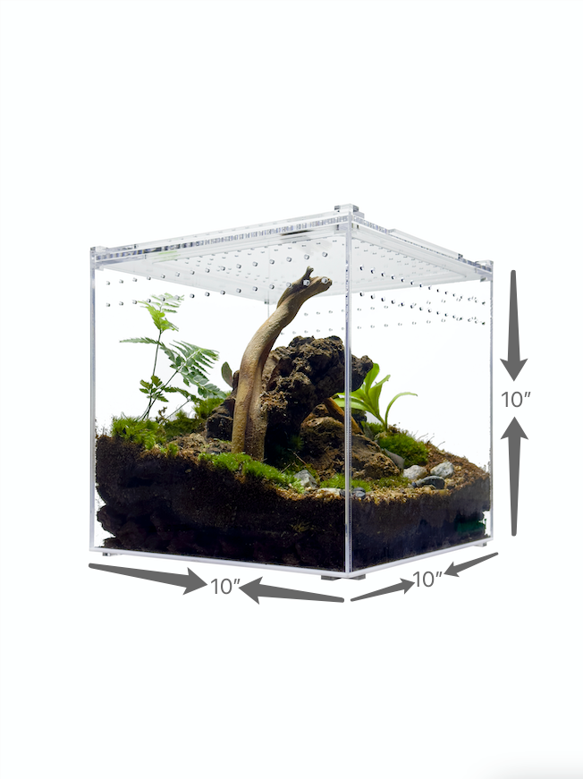 Acrylic Enclosure | HerpCult