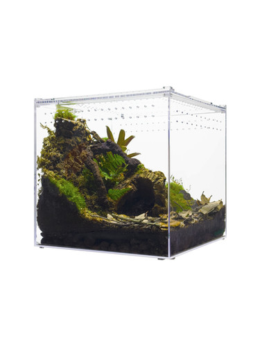 Acrylic Enclosure - XLarge | HerpCult