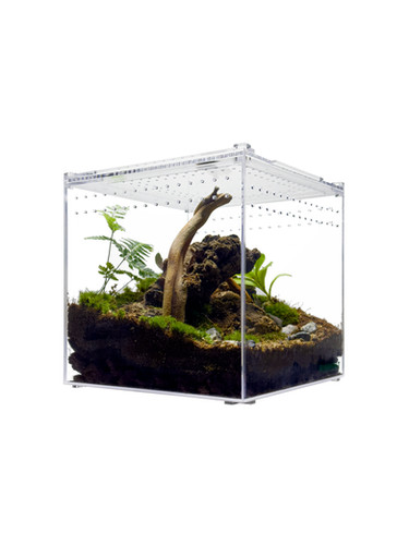 Acrylic Enclosure - Large | HerpCult