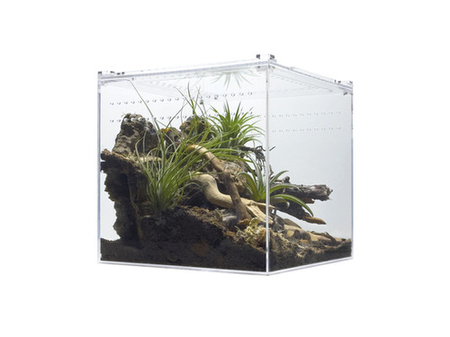Acrylic Enclosure - Medium | HerpCult