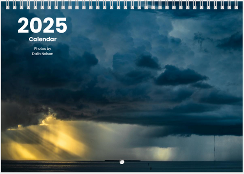 2025 Wall Calendar | Dalin Nelson
