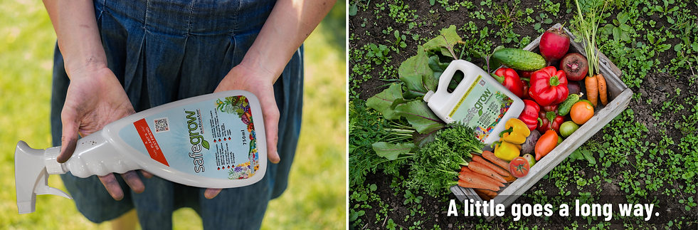 HOME | SafeGrow Solutions