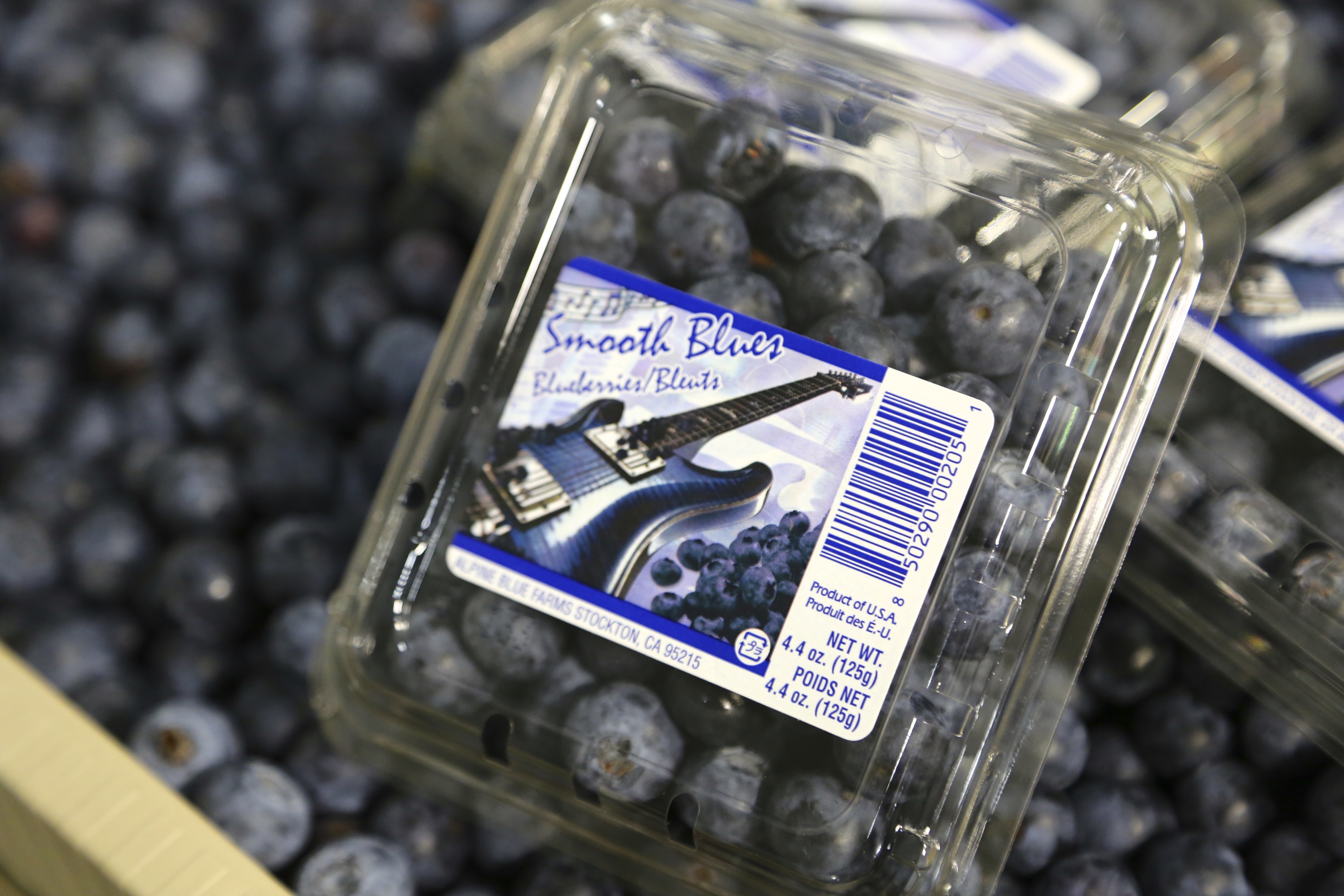 Blueberries | growerdirect2