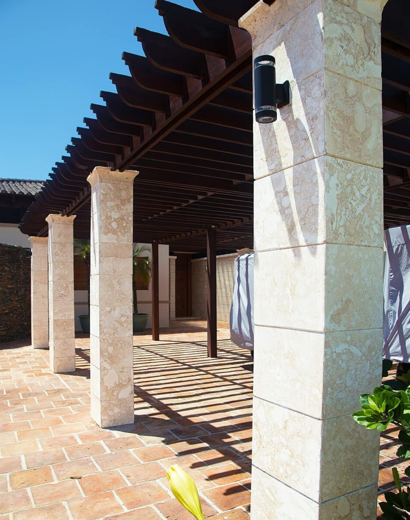 Coralite | Shellstone Imports