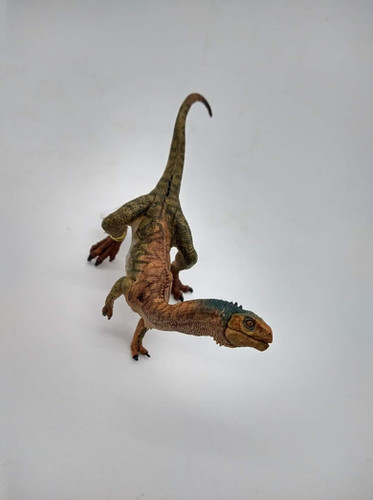 CHILESAURUS PAPO | Skullptoys