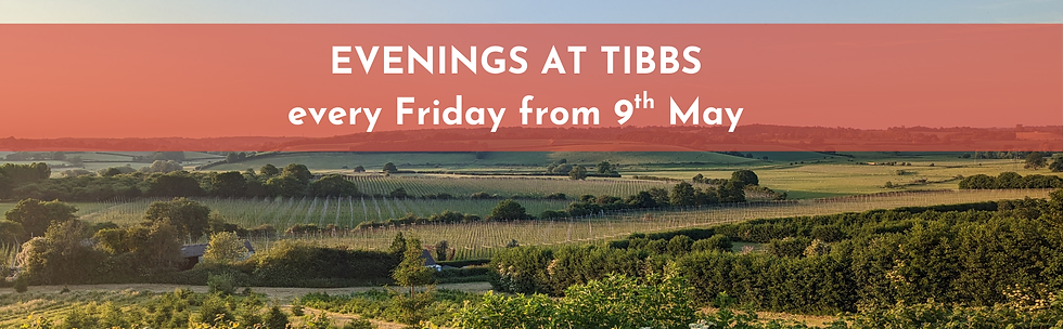 Tibbs Farm | Pick Your Own & Café | Sussex