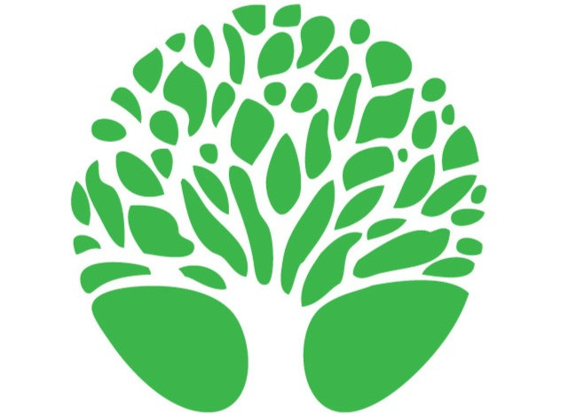 Home | Enviro Tree | Arborist and Tree Surgeon | Liverpool and North-West