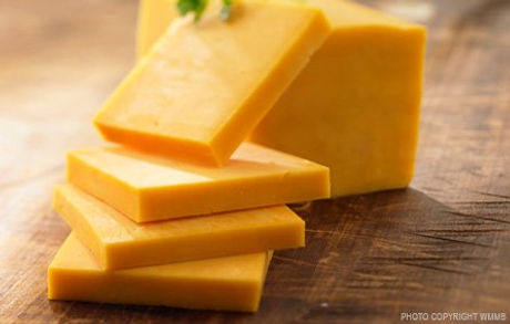 Home | Golden Valley cheese/ BJ Boerdery