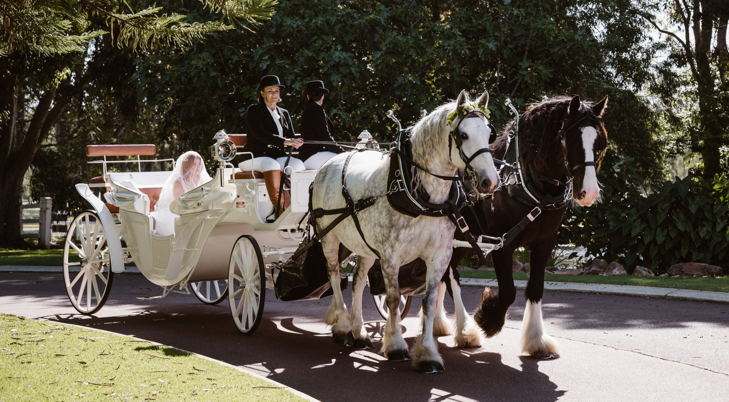 Charming Carriages | Pricelist