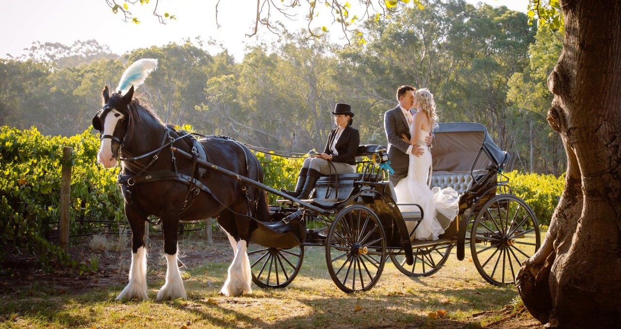 Charming Carriages | Horse Drawn Carriages | Perth