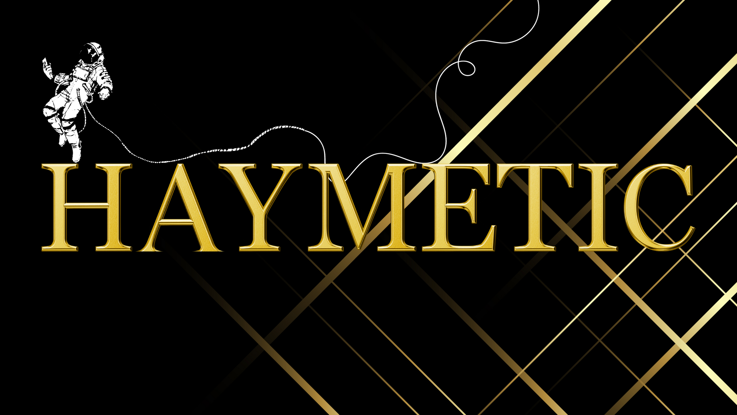 Beitrag Haymetic beitrag-haymetic