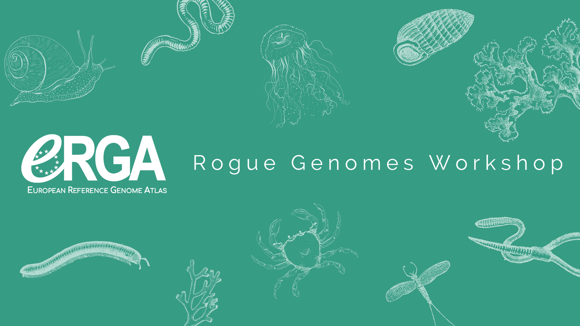 ERGA Rogue Genomes Workshop