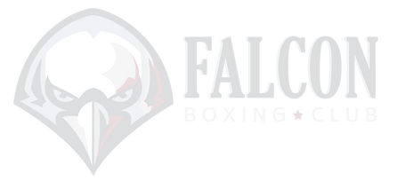 Boxeo | FalconBoxing | Ñuñoa