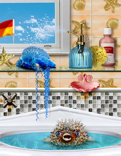 Salt Bath | Stephen Cornwell Art