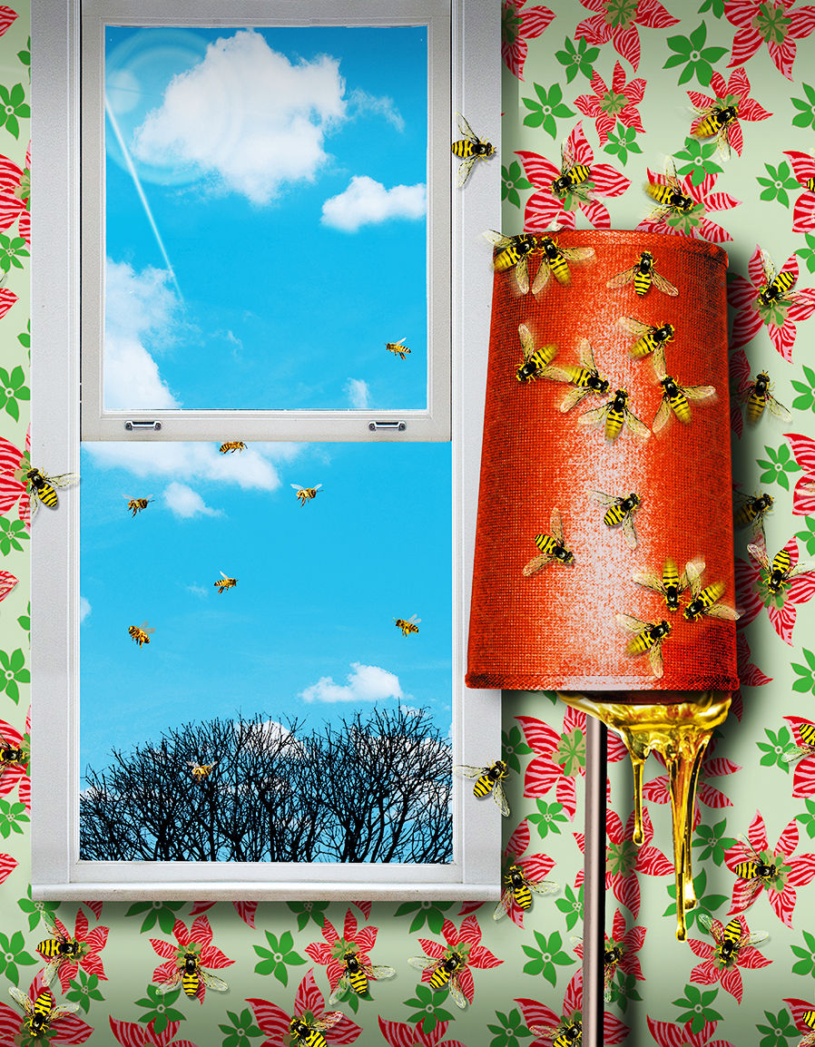 Pollen Paper | Stephen Cornwell Art