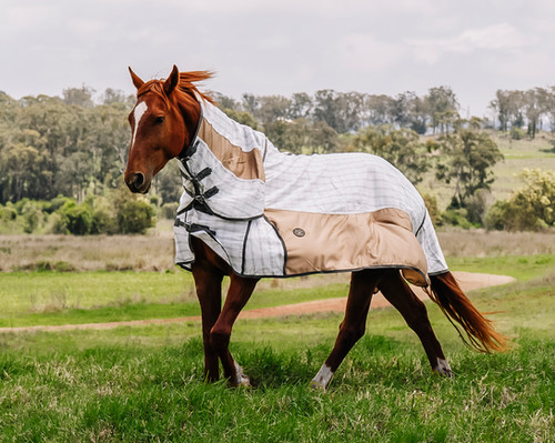 Longreach- Mesh Hybrid | RNS