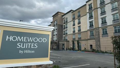 Portfolio | Mehr Consultancy | United States