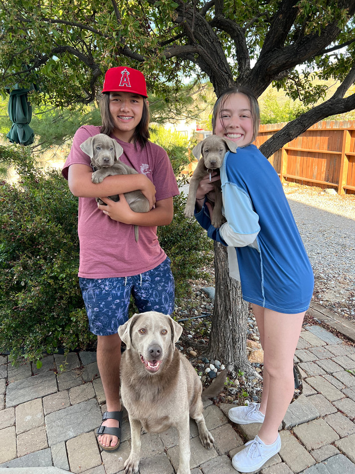 Silver State Silver Labs | silver labs