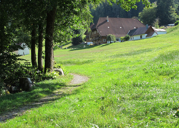 Start | Meine Website