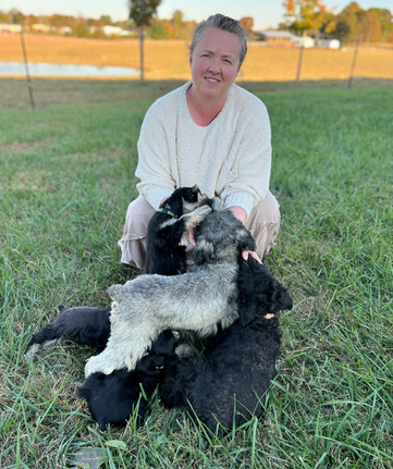 Breeder | Whistling Dixie Schnauzer/Alabama