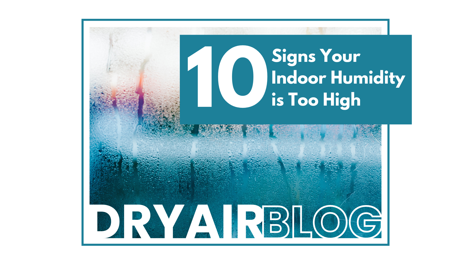 10 Signs Indoor Humidity is Too High