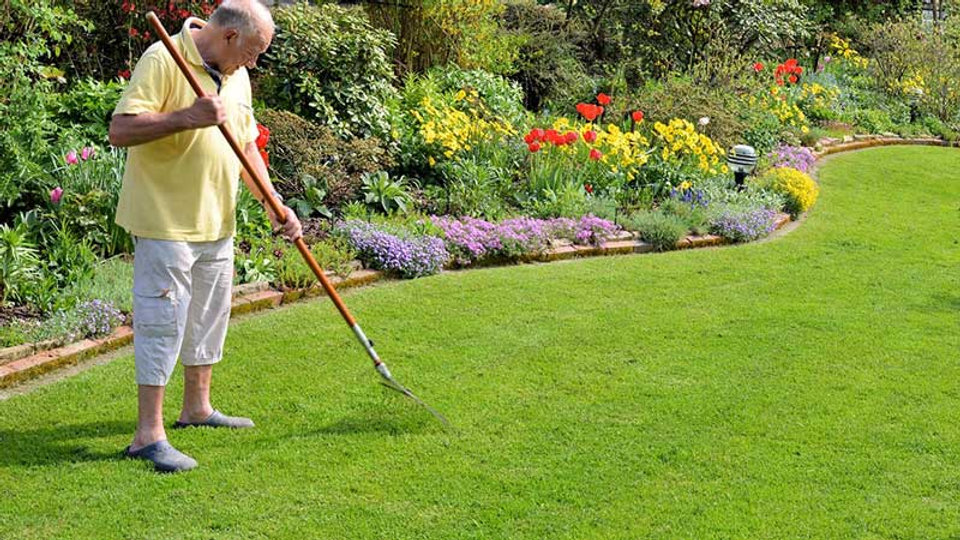 Lawn Rejuvenation - Fixing Bare Spots In Your Lawn This Spring
