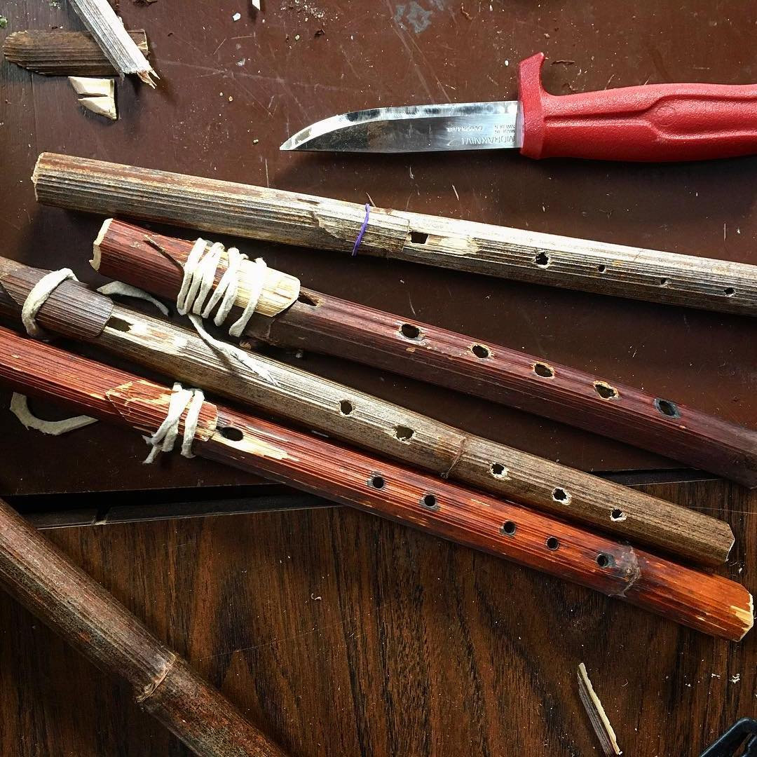 Japanese Knotweed Flutes | Rewild Maine