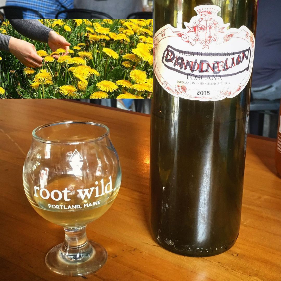 Making Wine from Fruits and Flowers