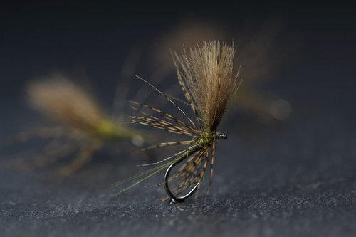 Soft hackle dun | Freestone Guiding