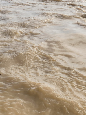 Artist Statement | Heather Bird Harris