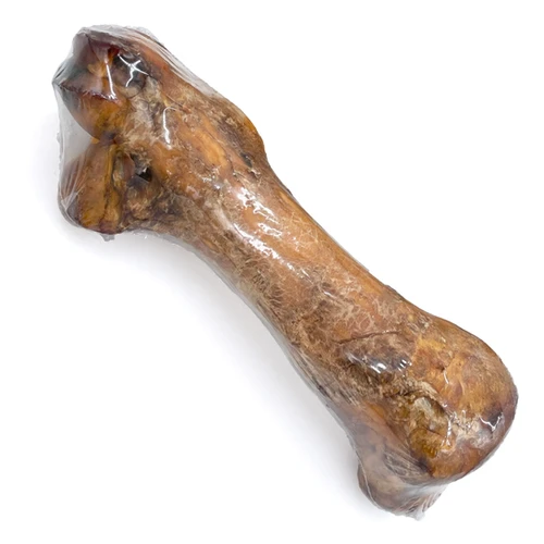 Ostrich Femur Bone | Collar and Bone