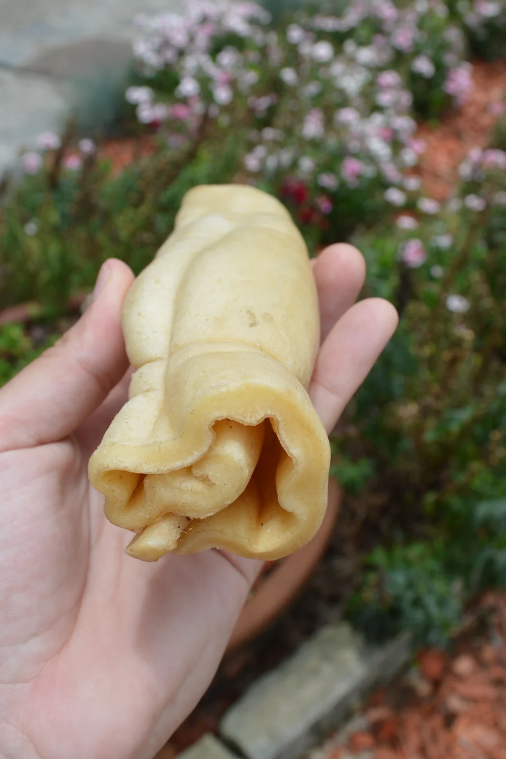 Water Buffalo Cheek Roll | Collar and Bone