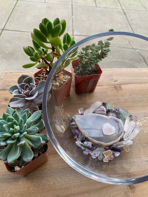 Virtual Terrarium Class