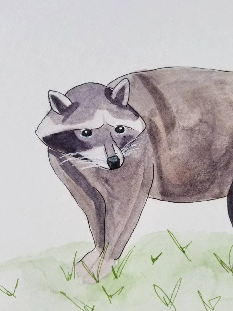 Raccoon Print | The Rustic Cow Craft
