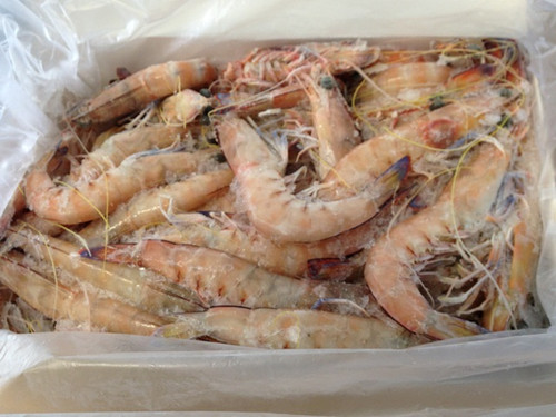 King U15 Prawns 3kg | latitude