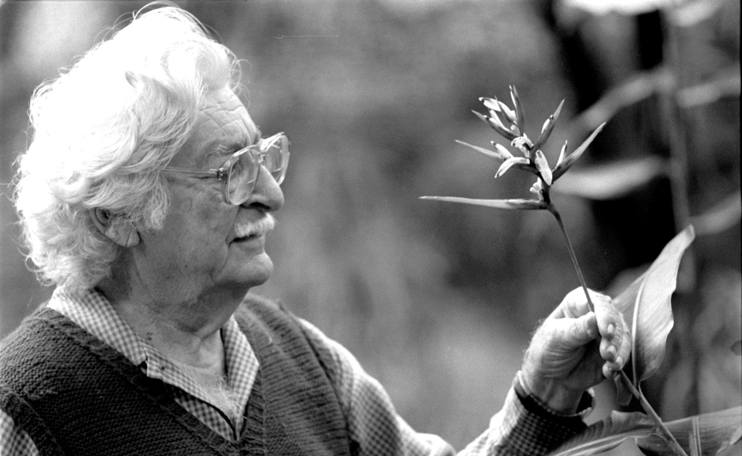 roberto burle marx | Arquivo Arq