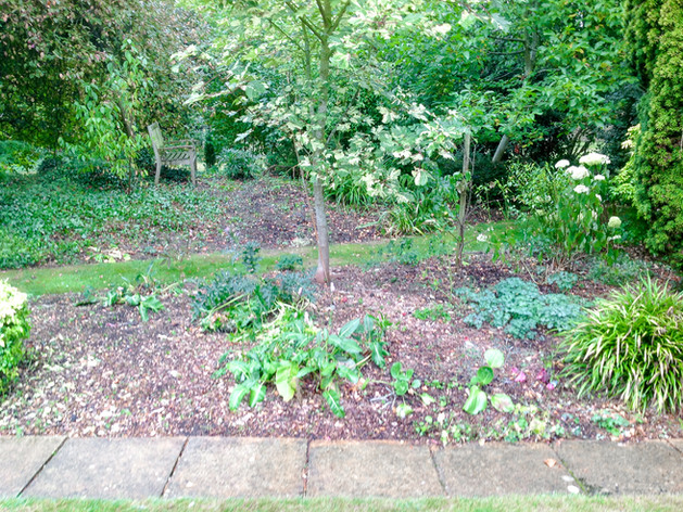 Pember House | Jo Edwards Gardens