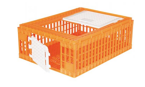 Quail Supplies | Arizona Gamebirds