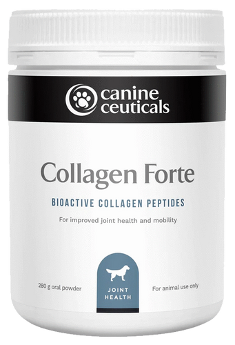 Canine Ceuticals Collagen Forte 300g | Holistic Dog