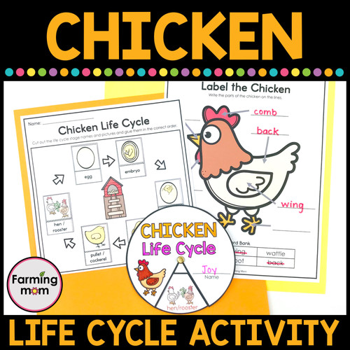 Chicken Life Cycle Activity for Kids Free Printable Worksheets ...