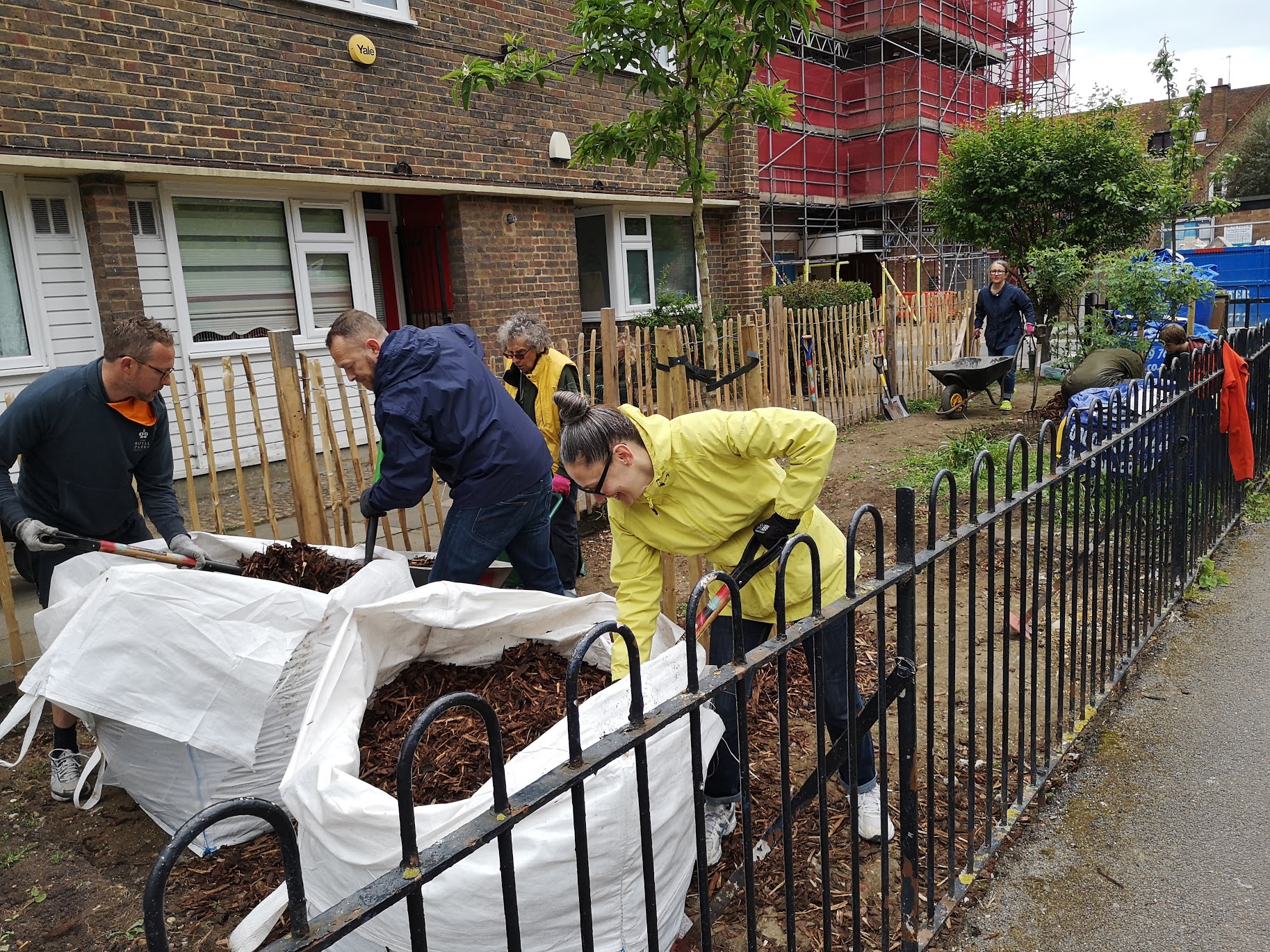 Alberta Fruit Commons