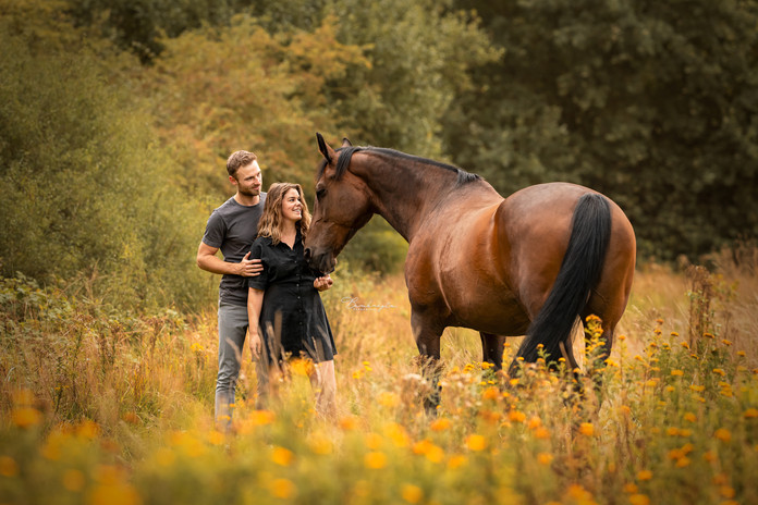Magische paarden fotoshoot | Bembregts Fotografie paardenfotografie in ...