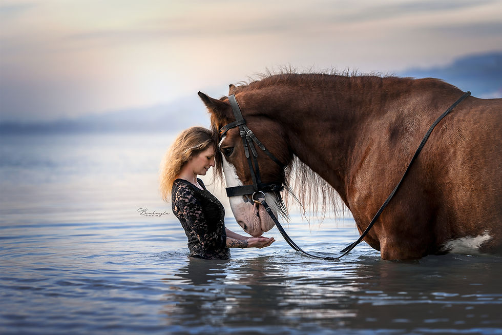 Magische paarden fotoshoot | Bembregts Fotografie paardenfotografie in ...
