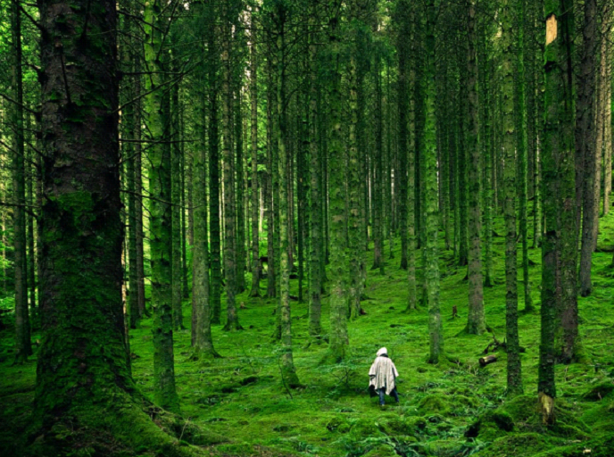 10 Groundbreaking Innovations Revolutionizing Nature Conservation