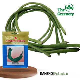 Kaneko | Sitao Montenegro Seeds | The Greenery
