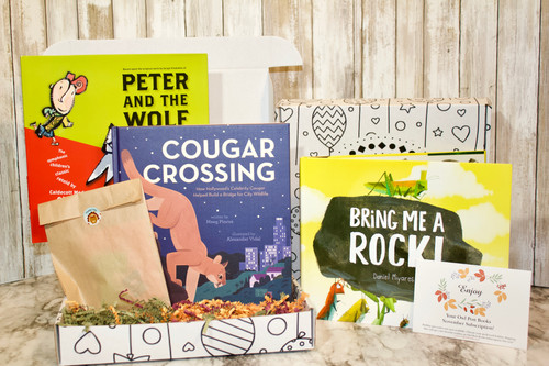 Imagination Boxes | Owl Post Books