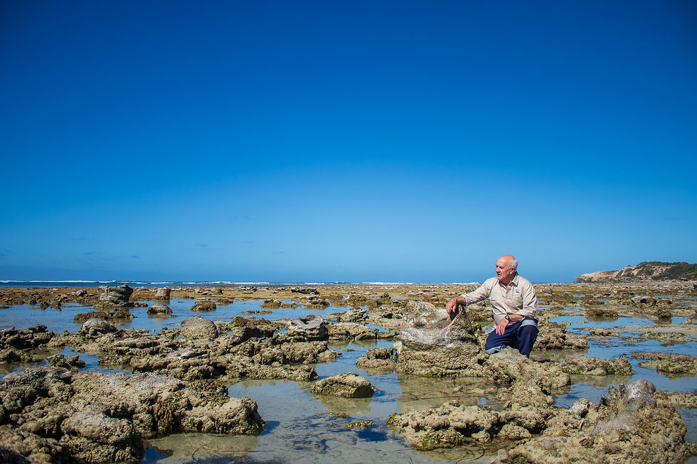 Bush Adventures | Foraging Tours