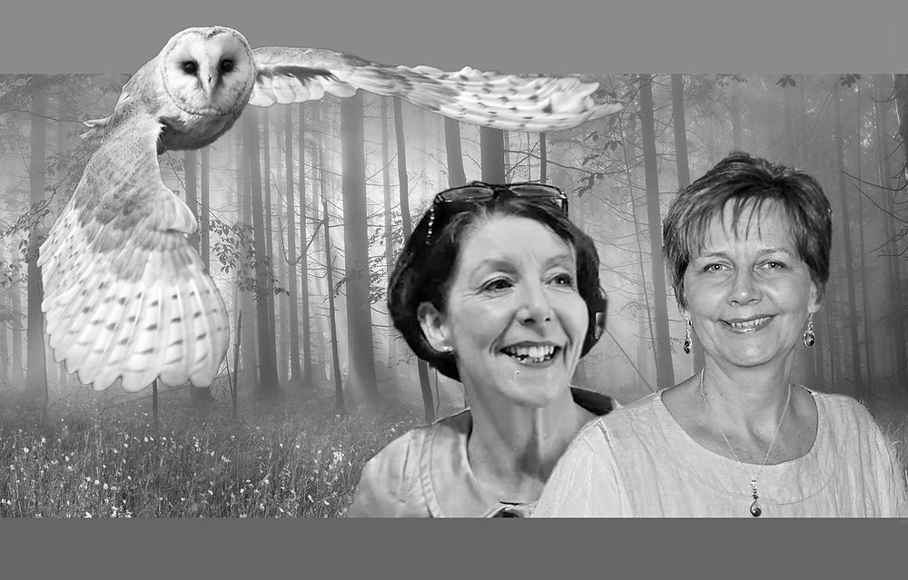Animal Communication Workshop Review