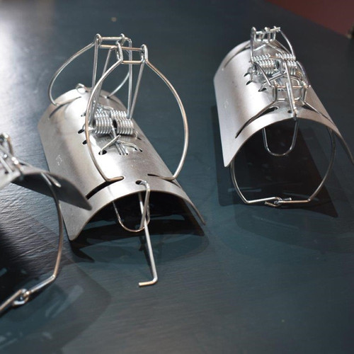 Flat Bottom Tunnel Traps | UK Putange Supplies