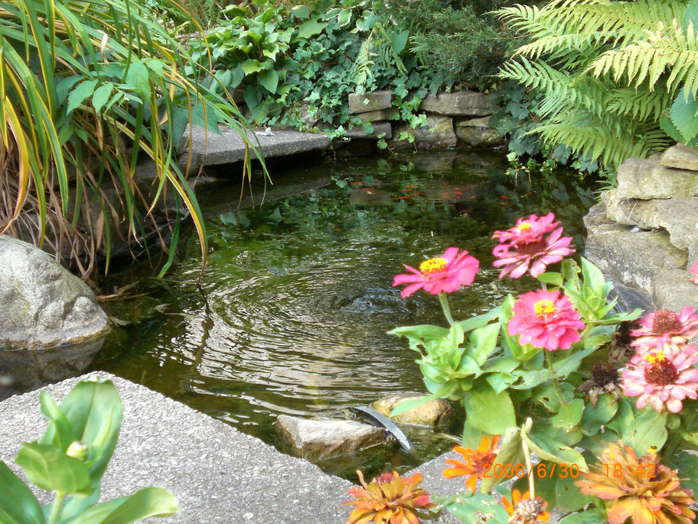 Top 10 Mosquito Breeding Sites on Your Property